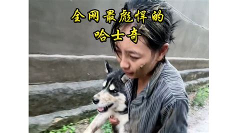 麻瓜世界新闻：《哈利波特》海格扮演者robbie Coltrane去世 Asd5760996asd 默认收藏夹 哔哩哔哩视频