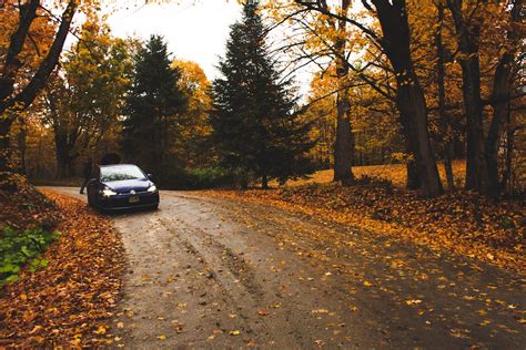 낮 동안 나무 사이의 도로에 은색 자동차 사진 Unsplash의 무료 버크 이미지