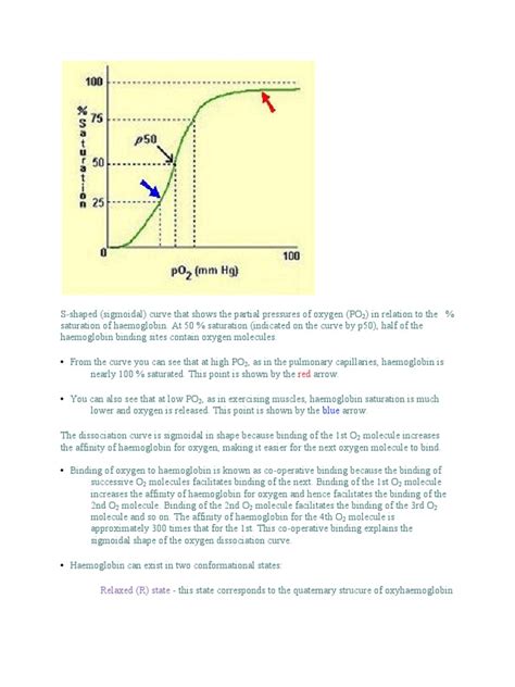 O2 Curve Pdf Hemoglobin Biochemistry O2 Curve Pdf Hemoglobin Biochemistry