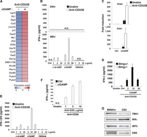 Reciprocal Regulation Of Sting And Tcr Signaling By Mtorc1 For T Cell