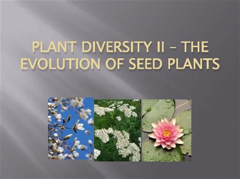 Plant Diversity Ii The Evolution Of Seed Plants