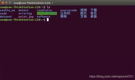 解决ubuntu16 04终端输入全是白色问题 ubuntu命令行变白 csdn博客