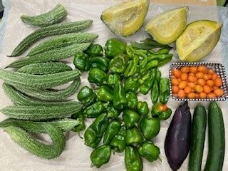 お野菜がもらえる医局 大阪医科薬科大学病院 総合診療科