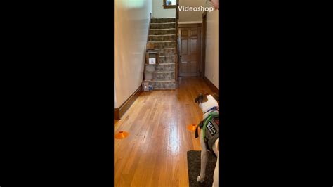 duke paired problem solving youtube