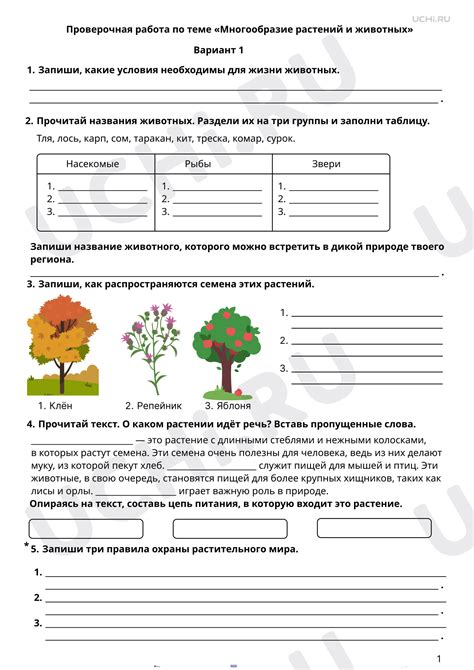 🖍 Проверочная работа по теме “Многообразие растений и животных 1 вариант” для 3 класса Учи ру