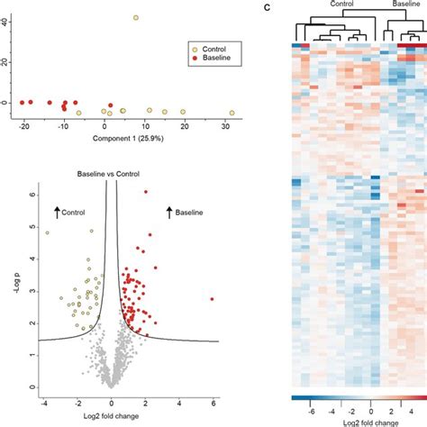 Comparison Of Healthy Controls And Baseline Group A Principal Component Download Scientific