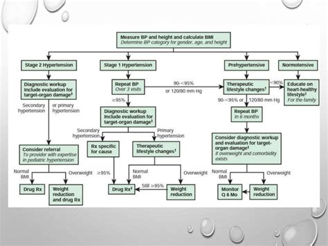 Pediatric Hypertension Definition Classification Etiology Management