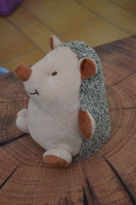 Igel Cm 23 Gebraucht In Chiasso Für Chf 8 Mit Lieferung Auf Ricardo Kaufen