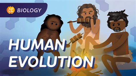 Human Evolution We Didnt Evolve From Chimps Crash Course Biology 19