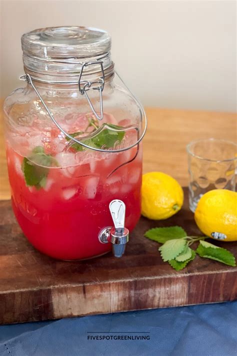 Easy Watermelon Lemonade Recipe Five Spot Green Living