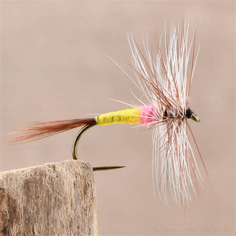 Ninfa Perdigon La Nera Con Culo Rosso V2 Pallina Rame La Fine Mouche