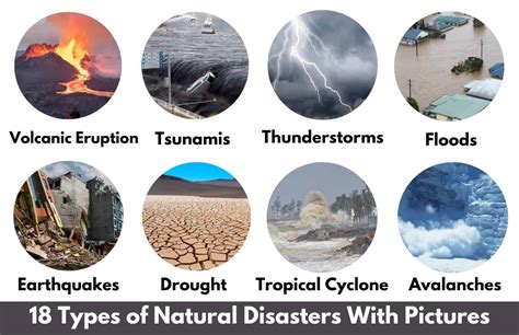 List Of Natural Disasters In 2024 Faun Oralle