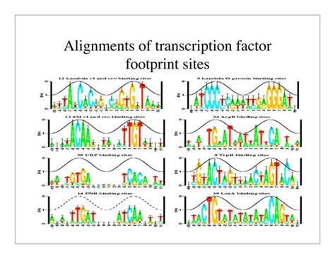 Bio Informatics Sequence Tags Log Odds And Profile Ppt