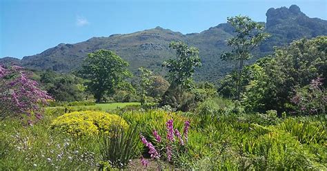 Added A Back To The Kallax To Improve Strength Album On Imgur