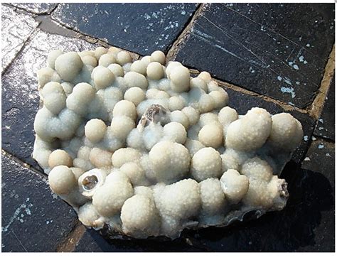 Microstructure Specimen Set Metallurgical Microstructure Specimen Set Latest Price