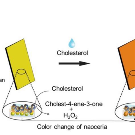 Pdf Reagent Free Colorimetric Cholesterol Test Strip Based On Self