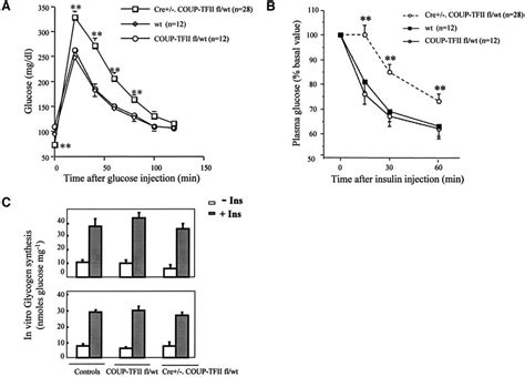 Glucose Intolerance And Insulin Sensitivity A Glucose Tolerance Tests Download Scientific
