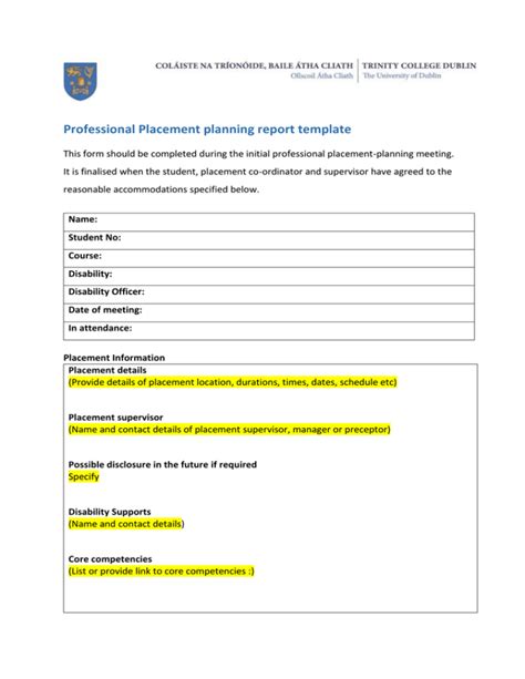 Professional Placement Planning Report Template