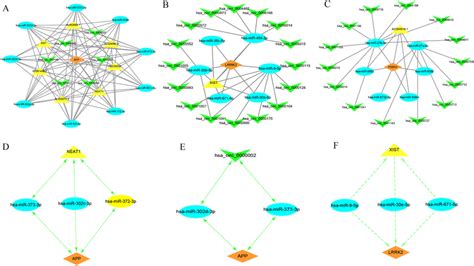 Construction Of Mrnamirnancrna Coexpression Networks A Cerna