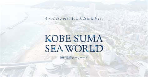 【重要】2024年6月1日から11月18日までのweb予約入館チケットについて｜お知らせ｜神戸須磨シーワールド公式ホームページ