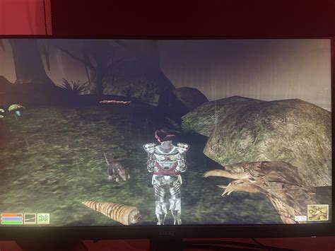 Is Power Leveling Cheating No Its The Vermin Who Are Wrong R Morrowind