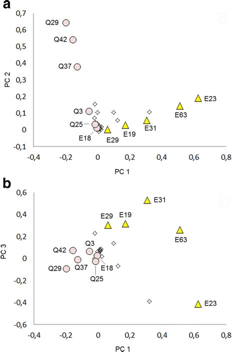 Principle Component Analysis Of The 100 Most Abundant Otus In The Download Scientific Diagram