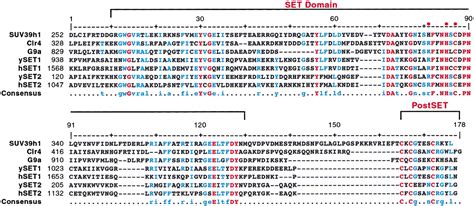 Transcription Regulation By Histone Methylation Interplay Between