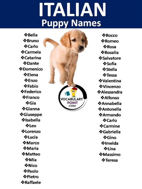 500 Italian Dog Names In English Vocabulary Point