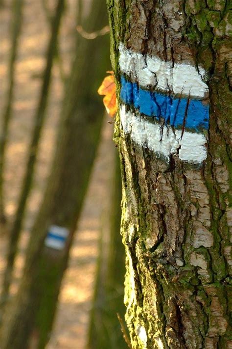 Co Oznaczaj Kolory Szlak W G Rskich Academy