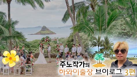 하와이 웨딩촬영 브이로그 3편 대망의 본식날 이야기 주노무비 Youtube