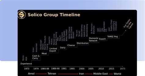 History Solico Group