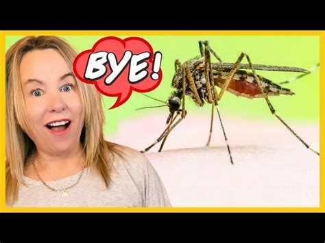 Say Goodbye To Nasty Mosquito Bites 4 Secret Tips Randis Adventures