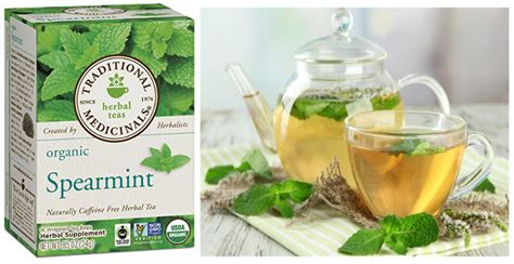 What Are The Crucial Health Benefits Of Spearmint Tea