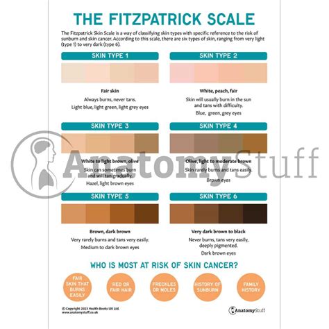 The Fitzpatrick Skin Cancer Scale Printable Pdf Cancer Awareness
