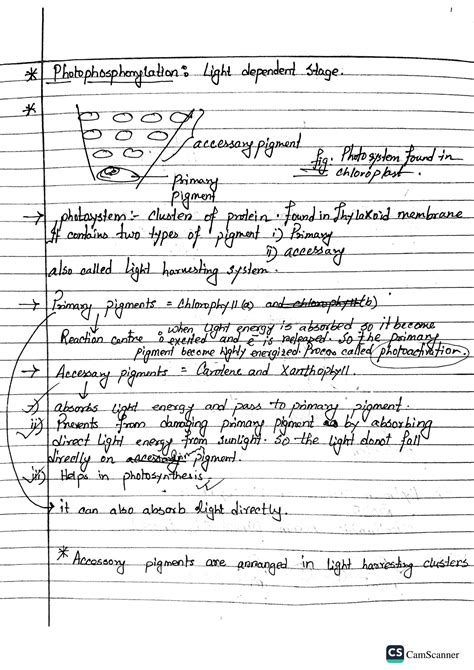 Solution Biology Photosynthesis Alevel Class Notes Studypool