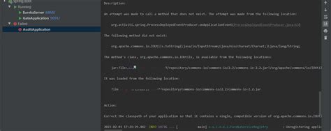 Auditapplication Issue Han Ylun Saas Ihrm Github