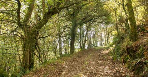 Una De Las Rutas Más Bonitas De Galicia Recorre El Nacimiento De Un