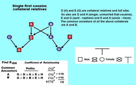 SexualReligion Coefficient Of Relationship C O R