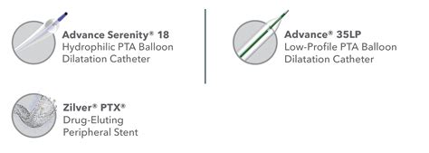 Advance Serenity® Hydrophilic Pta Balloon Dilatation Catheter Cook