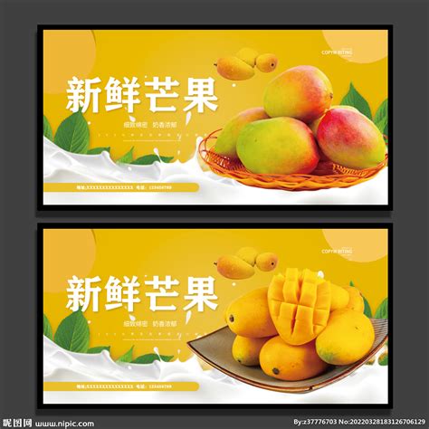 芒果设计图 海报设计 广告设计 设计图库 昵图网nipic