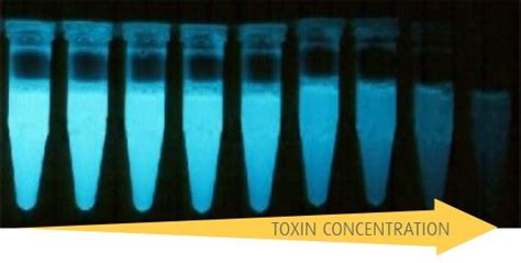 Microtox Ecotoxicology