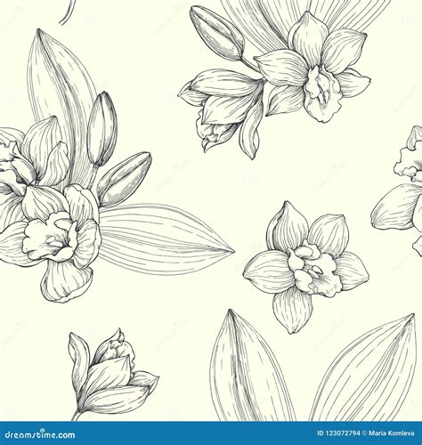 Vector Floral Vintage Seamless Pattern Hand Drawn Botanical Tex Stock
