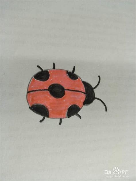 金瓢虫的简笔画 简笔画图片大全 普车都
