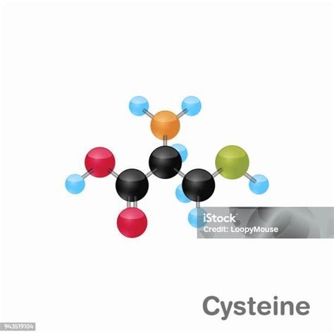 도 서 및 교육에 대 한 최고의 분자 Omposition 및 시스테인 Cys의 구조 0명에 대한 스톡 벡터 아트 및 기타 이미지