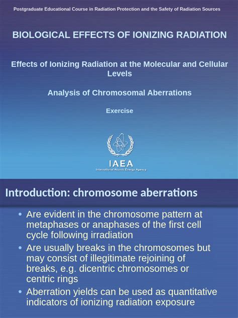Chromosomal Aberrations From Radiation Pdf Dosimetry Radiation