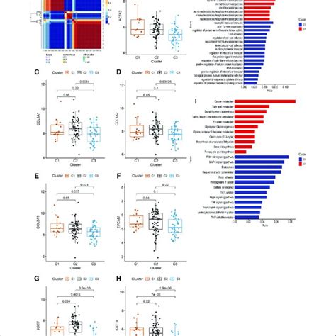 Identification Of Ba Subtypes Based On Hspgs Expression Levels A Nmf Download Scientific