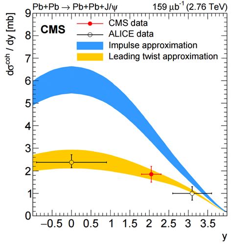 Differential Cross Section As A Function Of Rapidity For Coherent Jψ