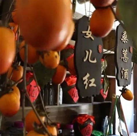 长寿之乡浙江文成：绿水青山中 蹚出共富路川村西坑畲族镇村民