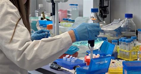 Cancro Su Nature Lo Studio Per Un Candidato Vaccino Che Elude Le