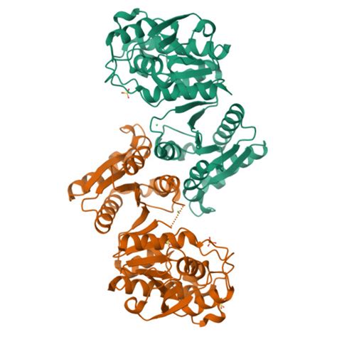 Rcsb Pdb 6e85 125 Angstrom Resolution Crystal Structure Of 4